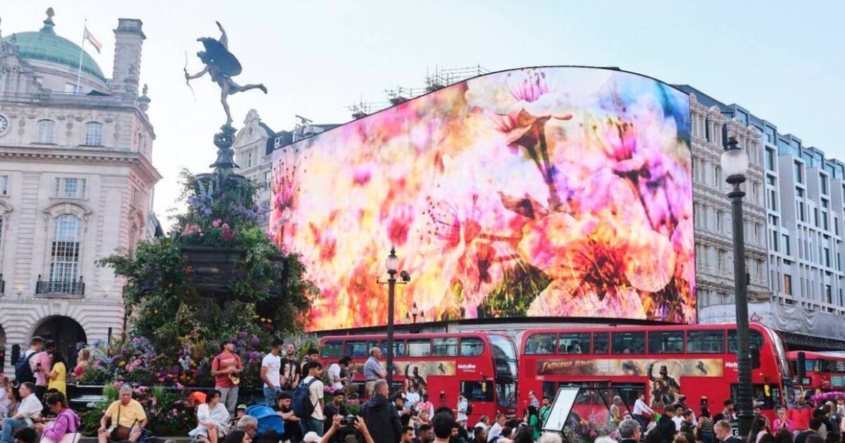 Heart of London partners with the… | Heart of London Business Alliance